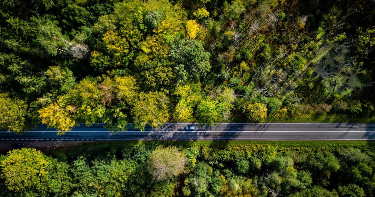 Uskiftet bo: Hvad er det, og hvad er fordele og ulemper? | DAHL Advokatpartnerselskab